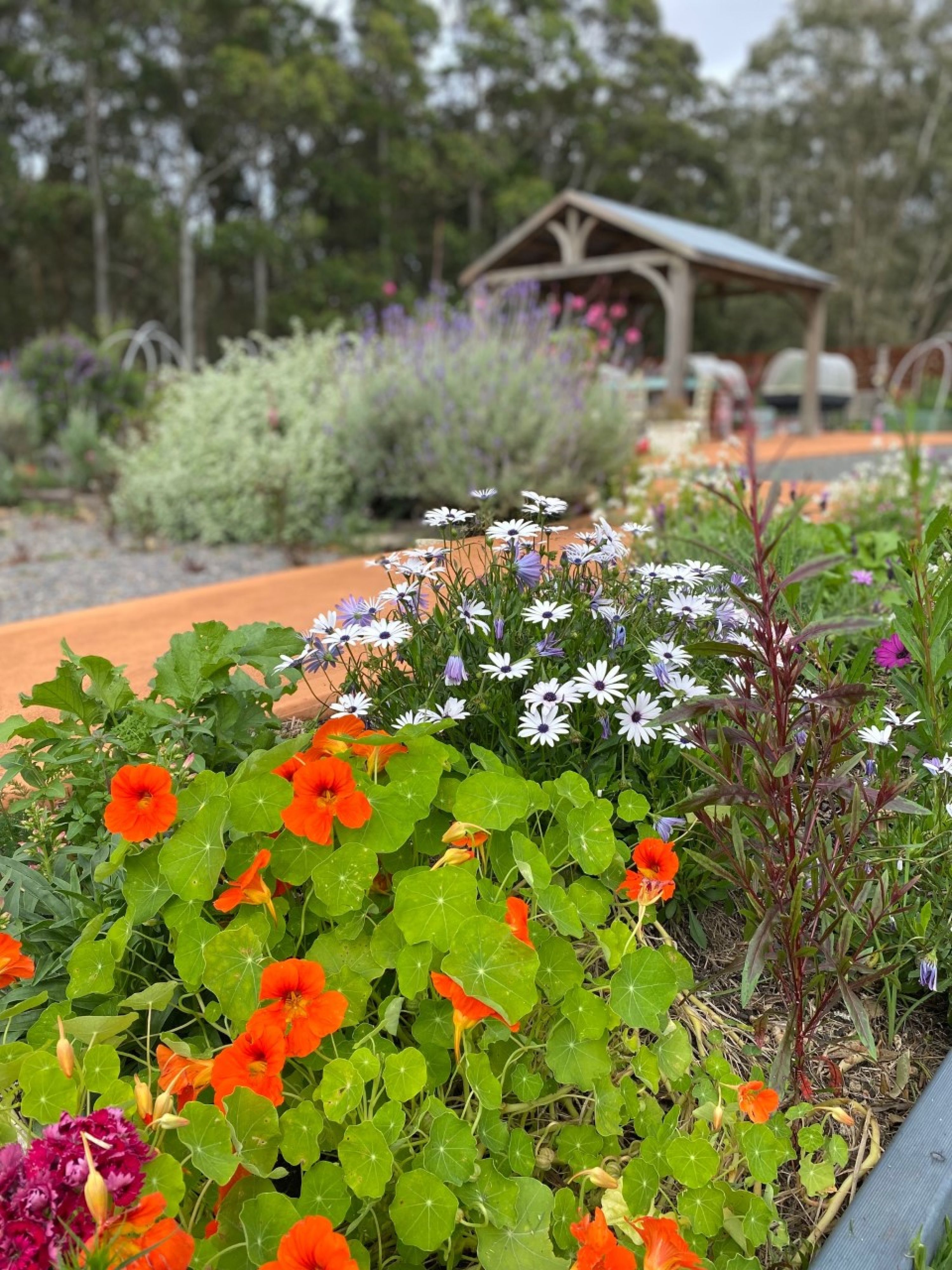 Sensory Community Garden | Port Stephens | The Salvation Army Australia