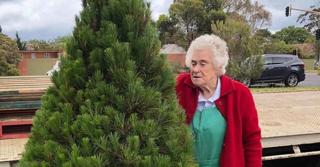 Celebrating the love and legacy of the 'Christmas Tree lady' | The ...