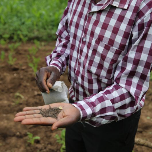 Gift Catalogue | International Development | Farming Kit ...